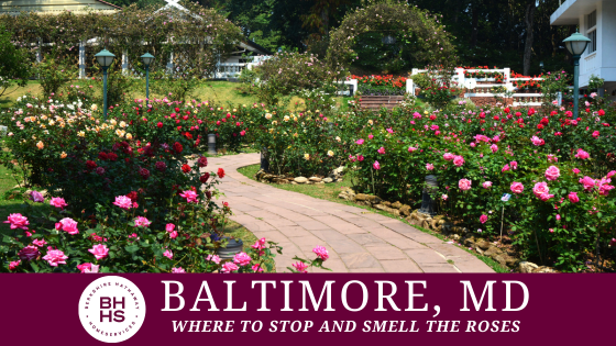 Botanical Gardens Baltimore Md | Fasci Garden